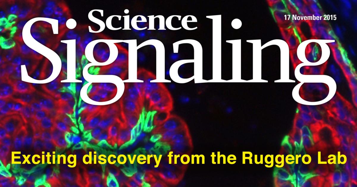 Science Signaling Cover Story Highlights Cancer Research | UCSF ...
