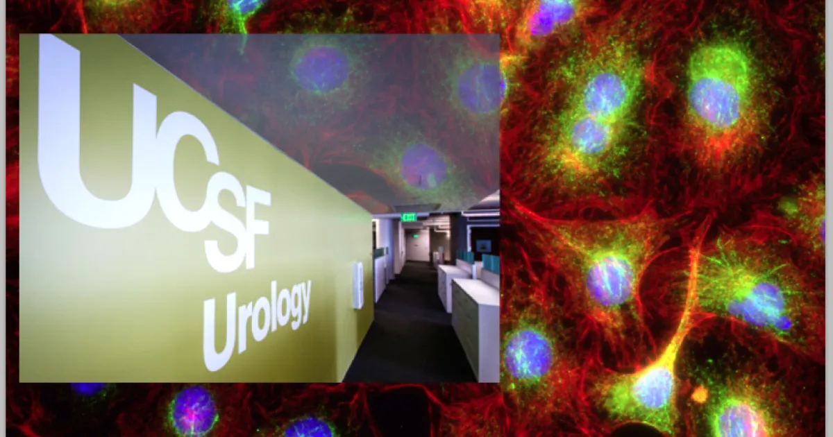 UCSF Urology Adapts Quickly to COVID-19 Interruptions | UCSF Department ...